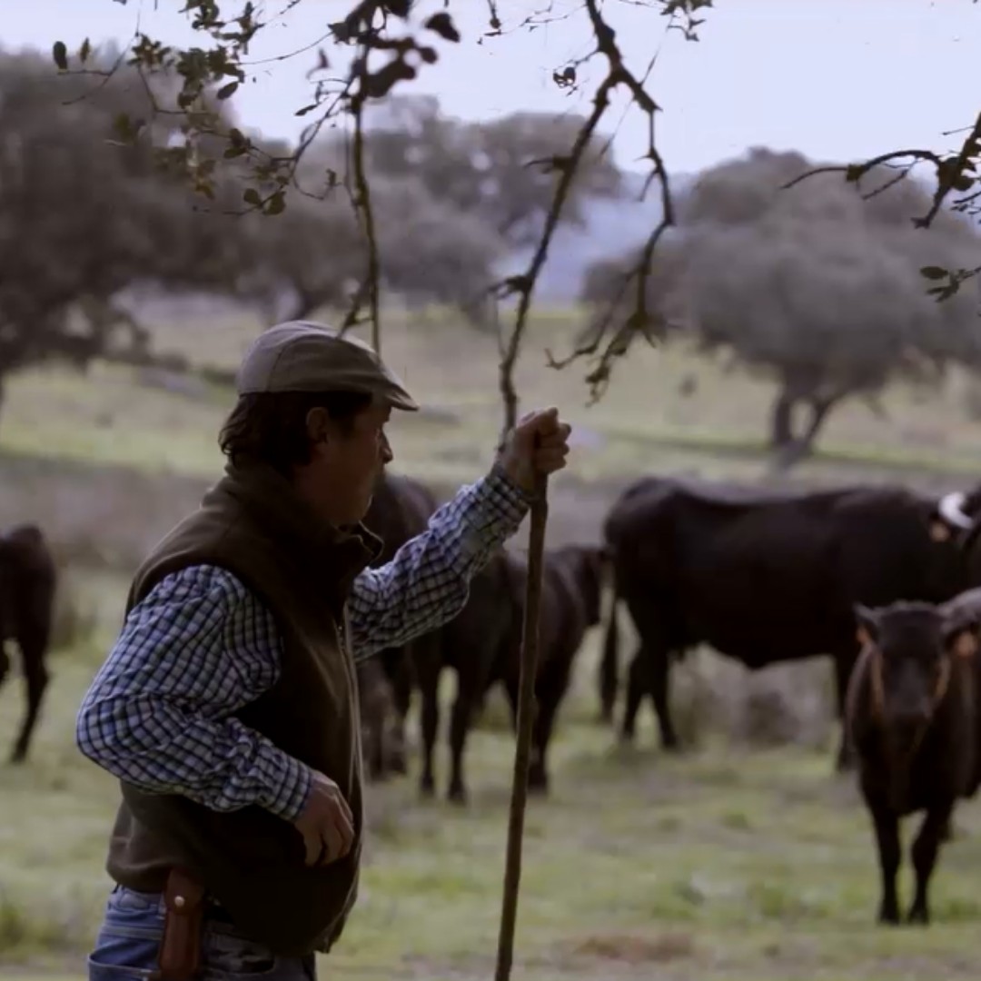 ¡Compromiso con la calidad! Así garantizamos el bienestar animal en ...